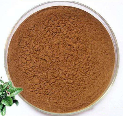 ISO Standard Natural Poke Root Extract / Phytolacca Americana Extract Powder