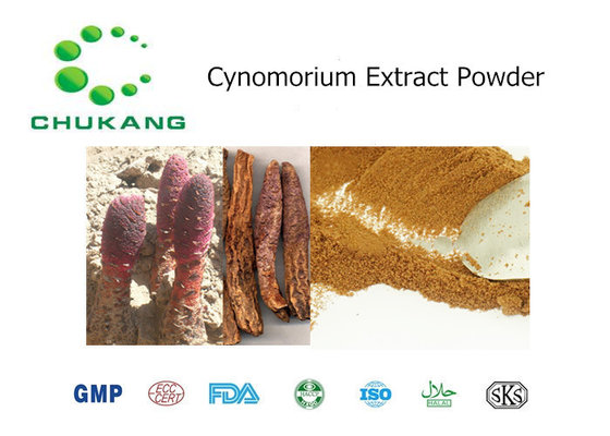 Red Brown Fine Herbal Extract Powder / Cynomorium Extract Enhance Immune System