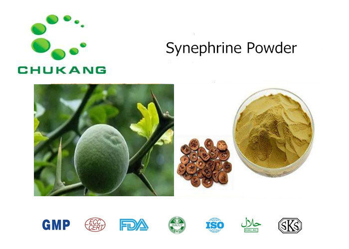 High Purity Powder Synephrine CAS 94 07 5 Natural Herb Powder Citrus aurantium L.