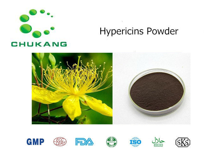 St John's Wort Extract Hypericum perforatum L.Plant Extract Powder Hypericins