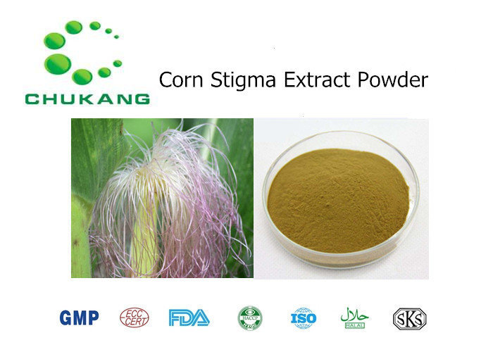 Corn Stigma Extract Powdered Herbal Extracts Pure Nature Plant Extract