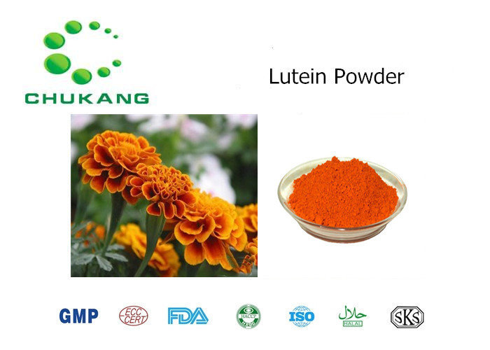 Marigold Extract Lutein Plant Extract Powder Tagetes erecta L Organic Powder