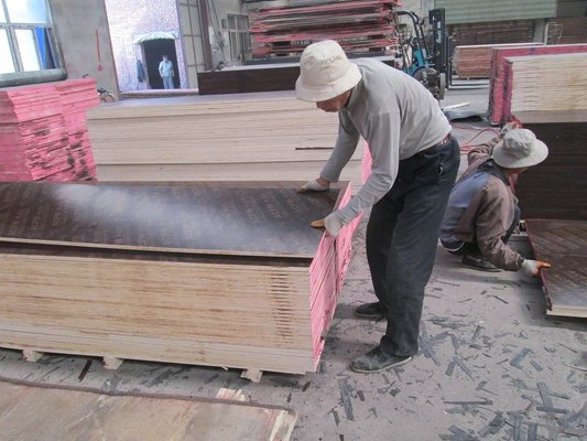 Film Shuttering Plywood Finger Jointed Core 610mm x 2440mm x 18mm
