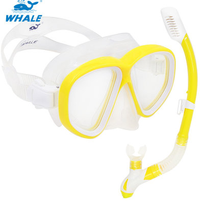 Sea Commercial Diving Equipment Mask Snorkel Set Tempered Glasses