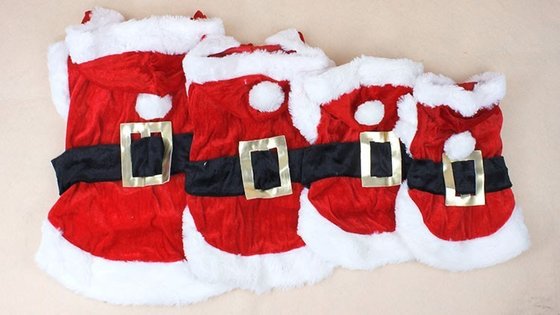 L'attrezzatura sveglia su misura Santa dei cani di animale domestico copre con il cappello per il Natale