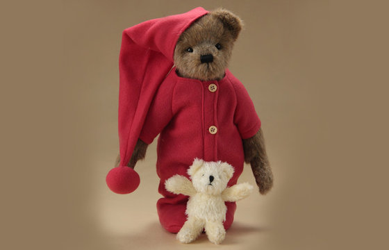 Bambini/cucciolo adulto dell'animale domestico dell'orso della peluche di Natale del regalo 38CM che portano un abito rosso
