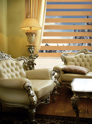 2020 Lowest Price modern home window Customized size zebra blinds roller