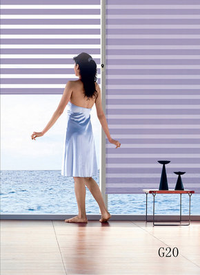 2020 100% polyester zebra blinds cover rail motorized for windows