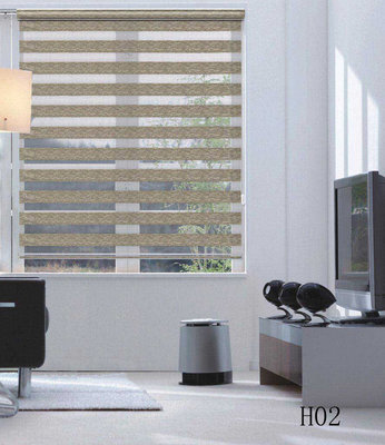 Double Layer High quality automated zebra shades day night window blinds Light Filtering