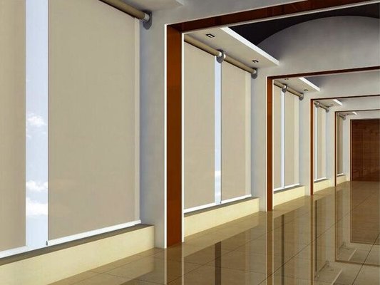 Auto Wifi Smart Daylight Fabric motorized/manual roller blind Roller Shades outdoor Custom