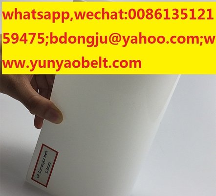 Excellent Quality Specialized Pe Conveyor Belt