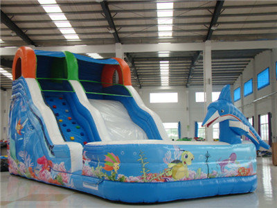 Le sport aquatique d'Infalatble d'adultes de bâche de PVC du bleu 0.9mm joue populaire extérieur