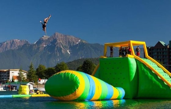 Parc aquatique gonflable géant de grand cadre avec larme s'élevante de mur de piscine de glissière l'anti