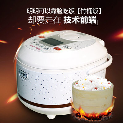 Bamboo Electric Cooker, Rice Cooker supplier