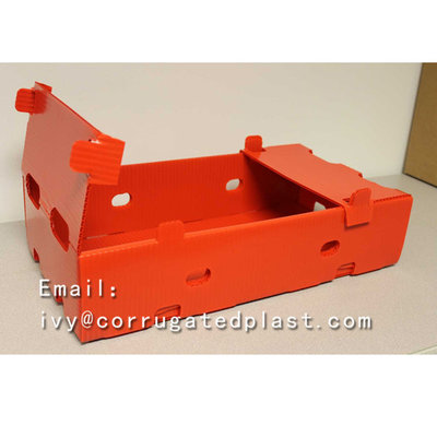 Foldable Polypropylene Corrugated Plastic Packaging Box