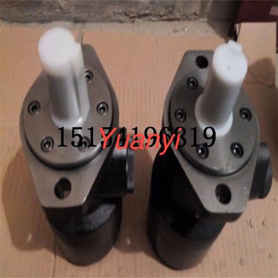 Eaton BM2 Series BM2-100 BM2-125 BM2-160 BM2-200 Hydraulic Motor