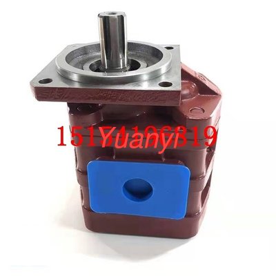 CBGJ Hydraulic Gear Oil Pump Jinan Hydraulic Pump CBGJ2080/2080 CBGJ2063/2063 CBGJ2050/2050 Hydraulic Gear Pump