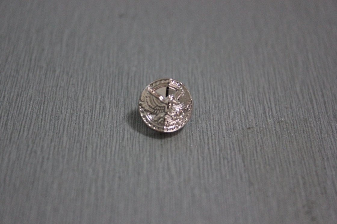 Fashion Eagle Pattern Buttons , Custom Metal Plating Clothing Button