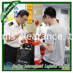 Seehog Shenzhen internet facility customs clearance agent_one day fast clearance service
