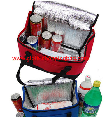 Easy - clean  machine washable travel cooler  bag  for takeouts
