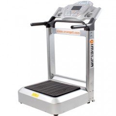 Whole Body Vibration Machine