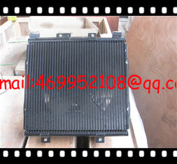 China FOTON TRUCK SPARE PARTS CONDENSER ASSY,1B20081200219,TRUCK PARTS supplier