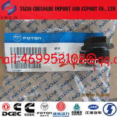 China FONTON TRUCK SPARE PARTS, Plug, Threaded 3930881 supplier
