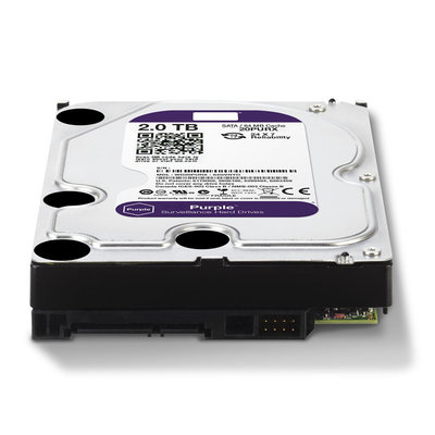Cavior Purple Internal hard disk for surveillance laptop 7200 rpm WD20PURX