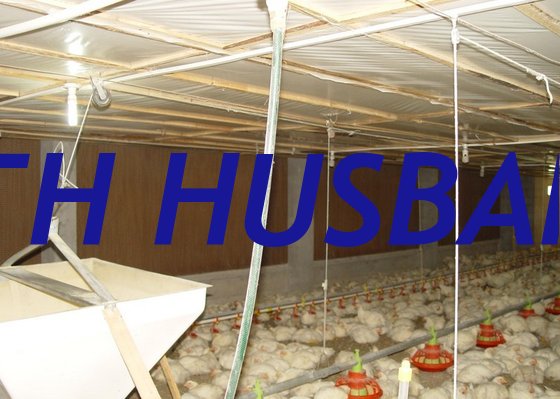 Evaporative cooling pad with frame & poultry cooling pad