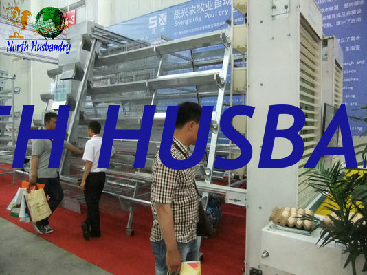 poultry farm layer cage