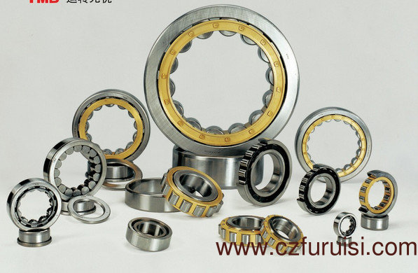 Automation Equipment for Cylindrical Roller Bearing NU207EM with size 35x72x17 mm
