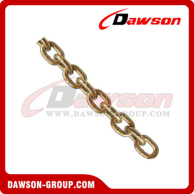 G70 Transport Chain NACM1996/2003 Standard