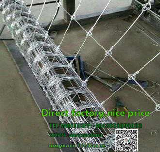 Wire Stock Fencing 0.8m x 50m C8/80/15 - Pig Lamb Sheep Dog RABBIT FENCE FOR SALE