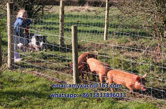 Wire Stock Fencing 0.8m x 50m C8/80/15 - Pig Lamb Sheep Dog RABBIT FENCE FOR SALE
