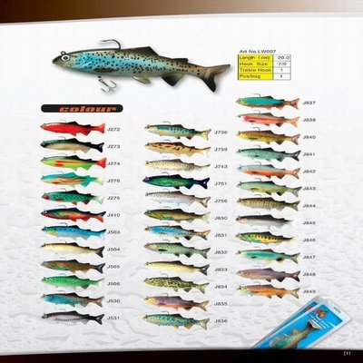 Fishing Soft Lures