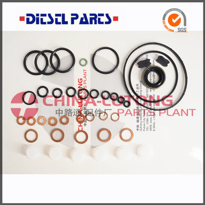 Cav Diesel Injection Pump Repair  096010-0010 800601 For Diesel Engine Rebuild Kits