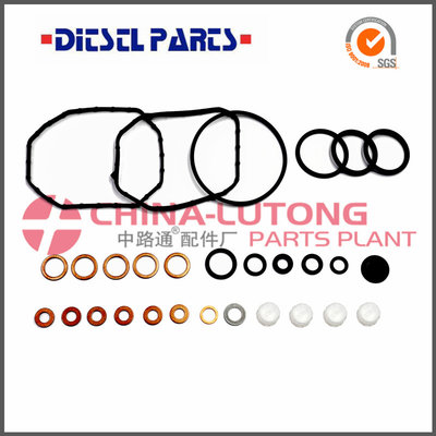Bosch Fuel Pump Repair 2 447 010 004 For Injector Pump Rebuild