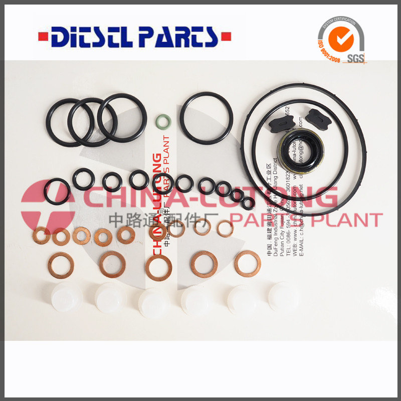 Cav Diesel Injection Pump Repair  096010-0010 800601 For Diesel Engine Rebuild Kits