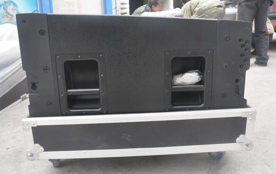 Línea accionada altavoz 123Kg de la manera de W8L 3 del arsenal con el altavoz de agudos del Big Horn