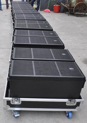 100W línea garantía de un año del poder 27Kg del SPL del DB de los sistemas de altavoz del arsenal 134