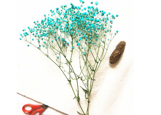 Decorative Pressed Wedding Bouquet , Dried Flower Bouquet True Plant For Dining Room