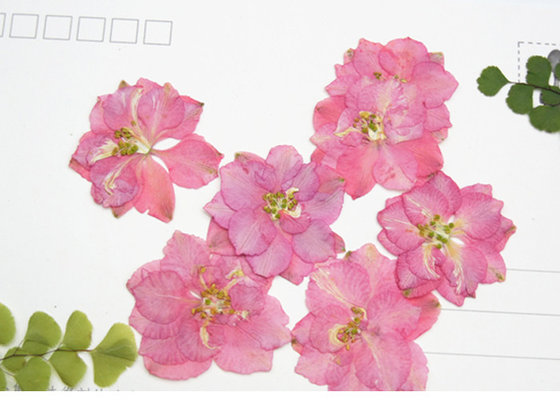 Colorful Larkspur Epoxy DIY Pressed Flowers For Wedding Fowers Pictures