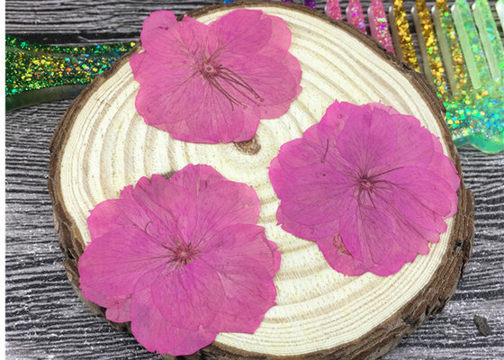 Grade A Framed Pressed Flowers For Chinese Style Gift / Blank Bookmarks