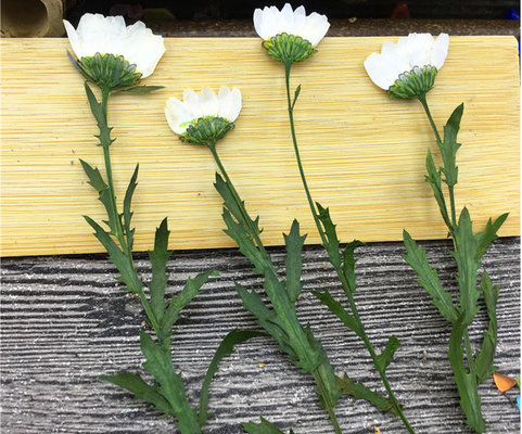 Chrysanthemum Dried Yellow Flowers Handmade Crafts For Festive / Party Decoration
