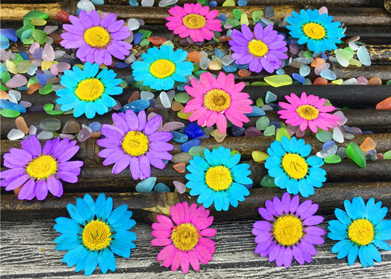 DIY Handmade Red Dried Flowers , Dried Daisy Flowers For Candle Decoration
