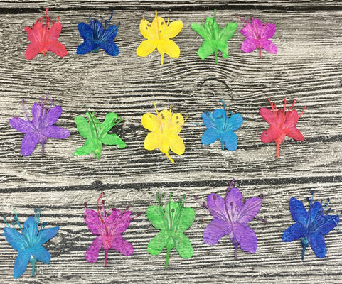 Small Azaleas Framed Pressed Flowers DIY Resin Material For Gem / Necklace Decoration