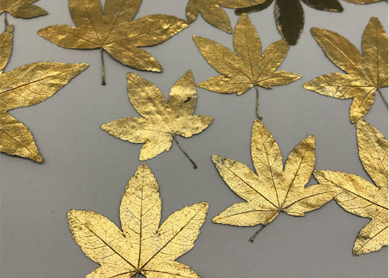 Maple Gold Dried Flowers , Large Dried Flowers For Wooden Photo Frame Ornament