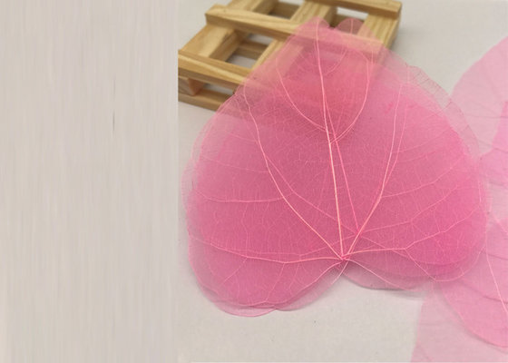 Pink Heart Shape Leaves Real Pressed Flowers Diameter 5 - 7 CM For Bookmark Decoration