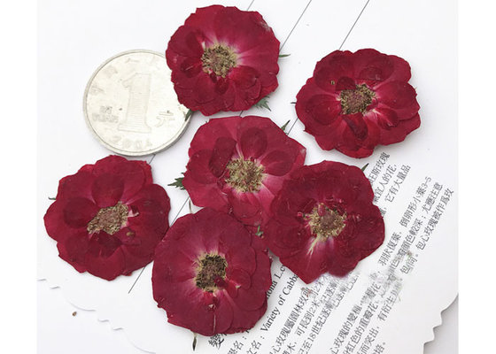 Red Rose Real Pressed Flowers Diameter 3 CM For Valentine'S Day Holidays