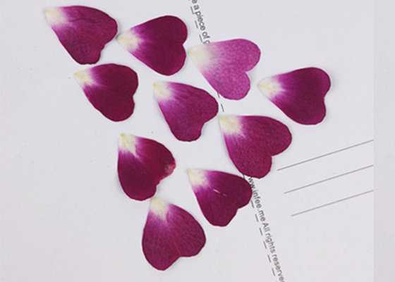 Red Rose Petal Real Dried Flowers Diameter 1CM For Wedding Card Decoration